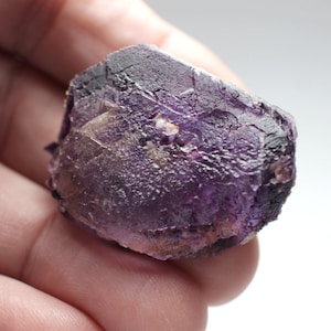Rare Dark Purple Octahedral Fluorite Crystal From the Santa Teresa ...