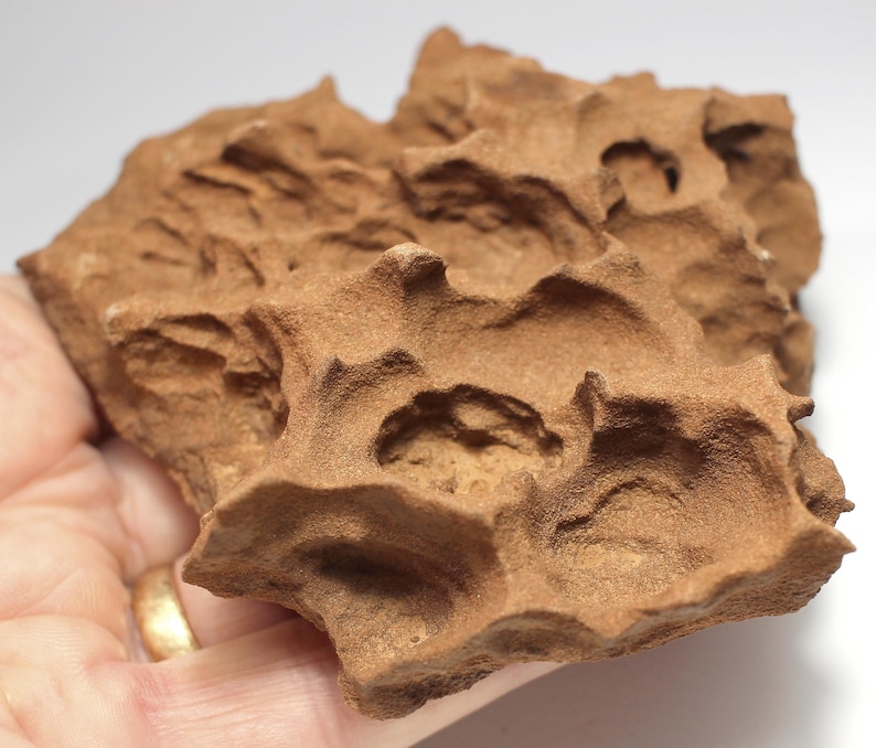 Tafoni - Remarkable Red Sandstone With Rare Naturally Sculpted Tafoni ...