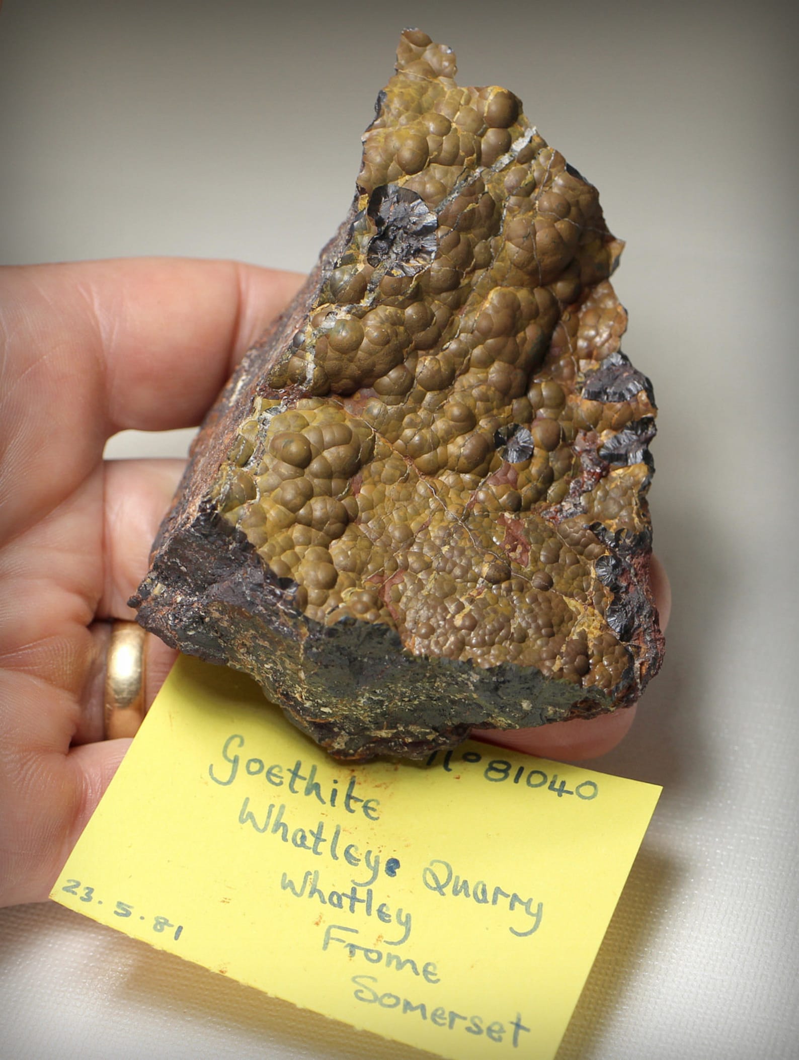 Larger Vintage Specimen of Botryoidal Goethite From the - Etsy