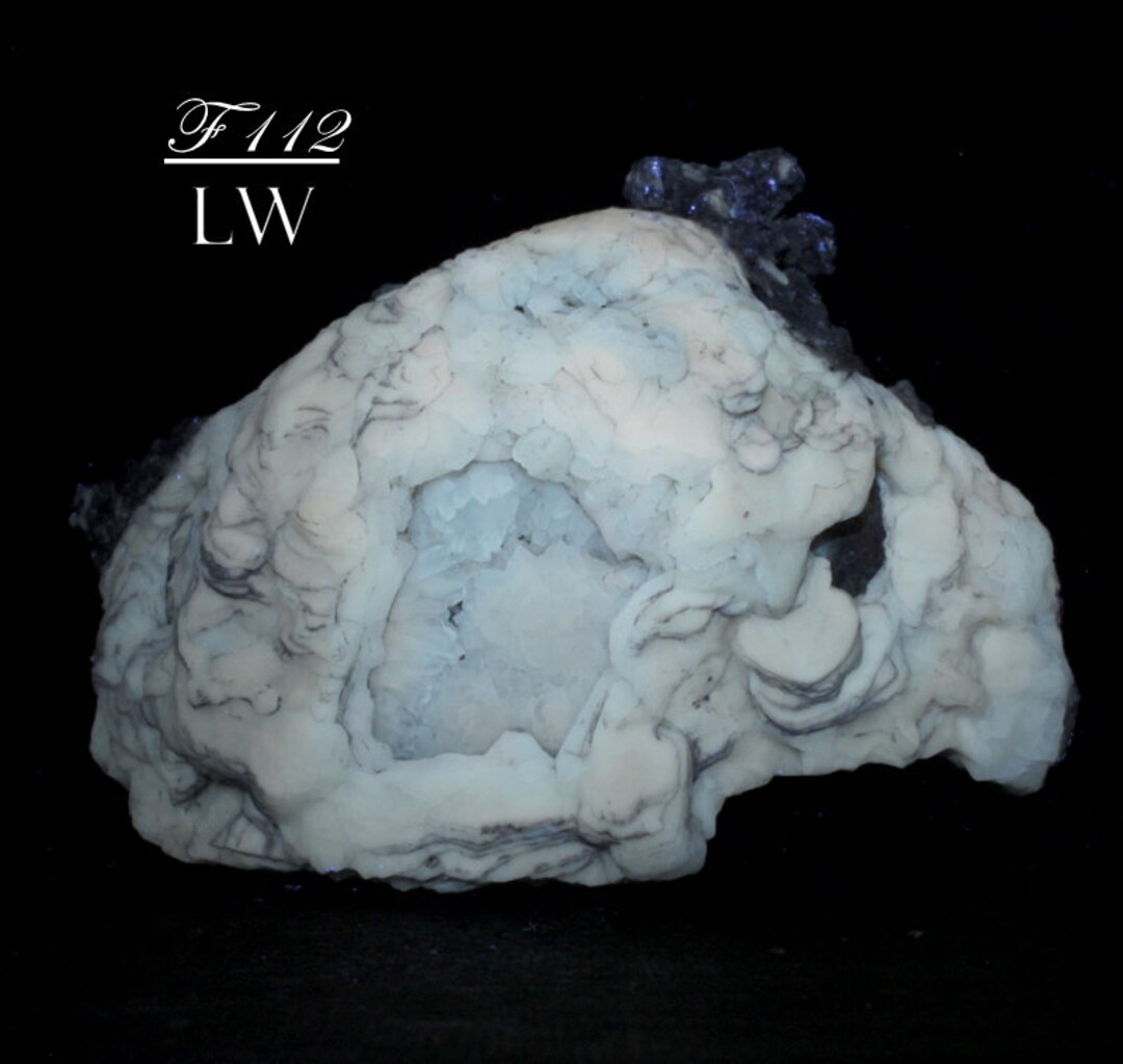 Fluorescent Calcite in Clam Fossil, From Rucks' Pit, Fort Drum Crystal ...