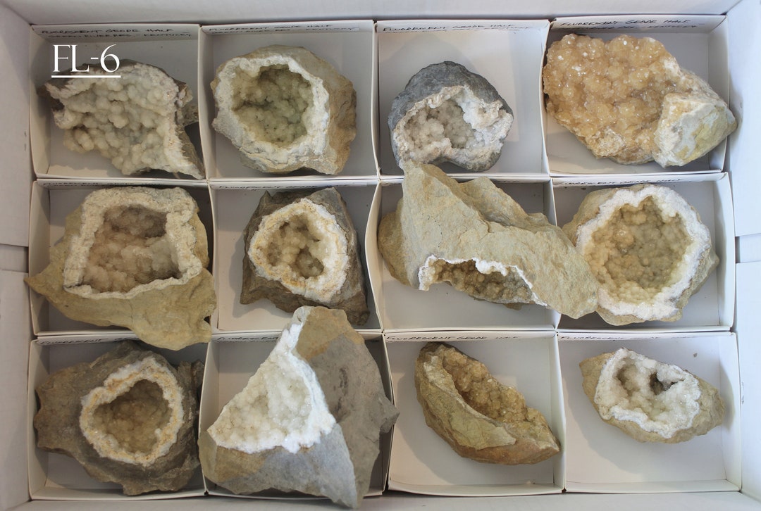 Wholesale Flat of Large Fluorescent Kentucky Calcite-lined Geode Halves, Not Sawn - 12 Half ...