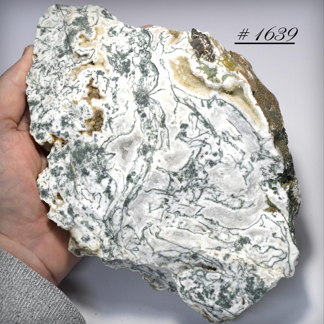 Large Green Tree Agate Rough for Lapidary or Display, With Two Polished ...