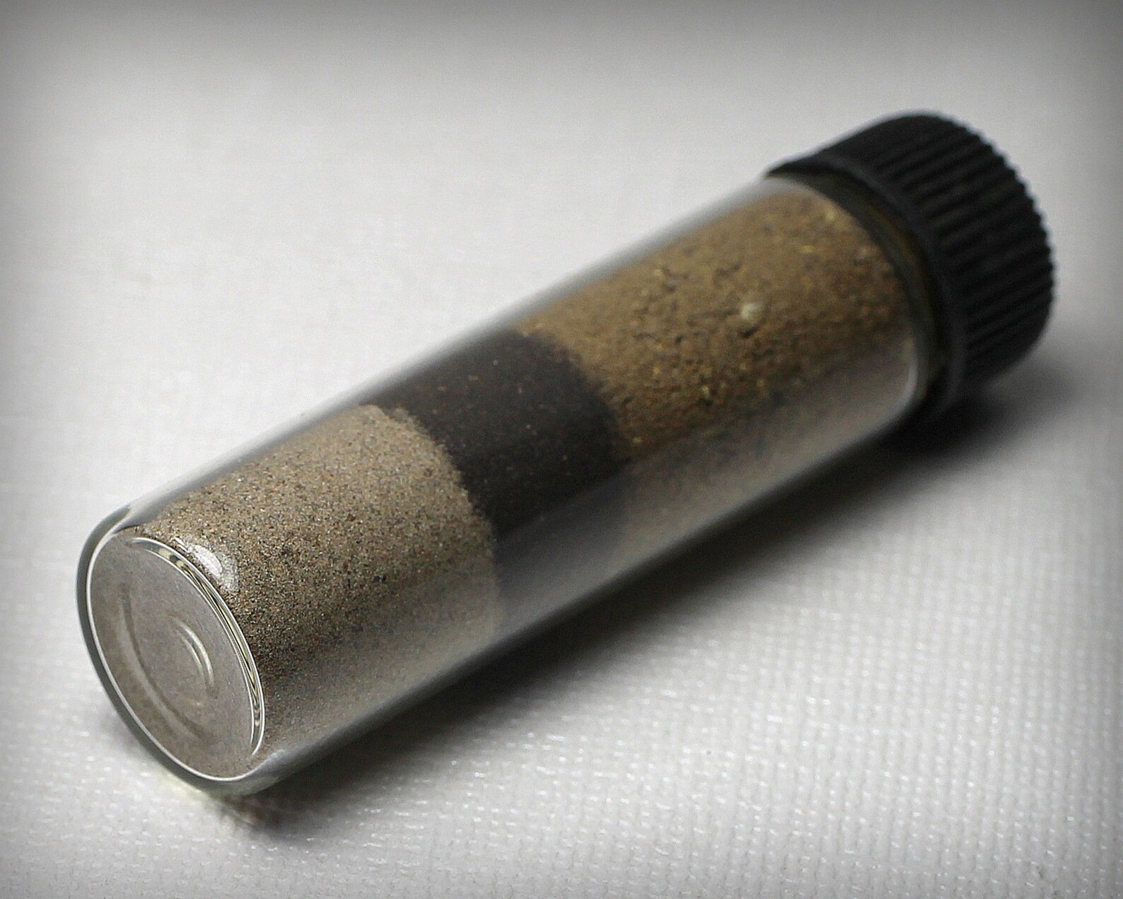 Authentic K-T Boundary kpg Boundary Sediment Layers - Etsy