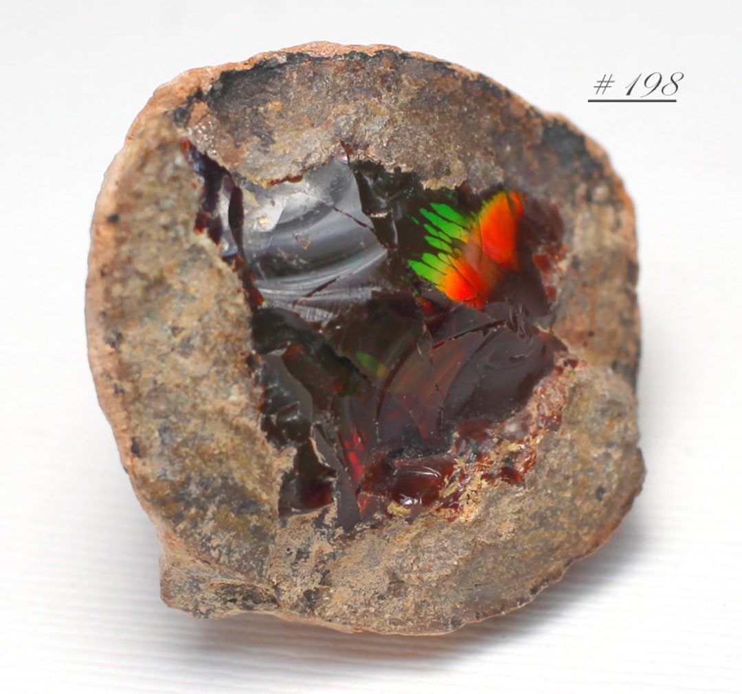 Ethiopian Precious Opal Partially Polished Ethiopian Opal Half Nodule ...