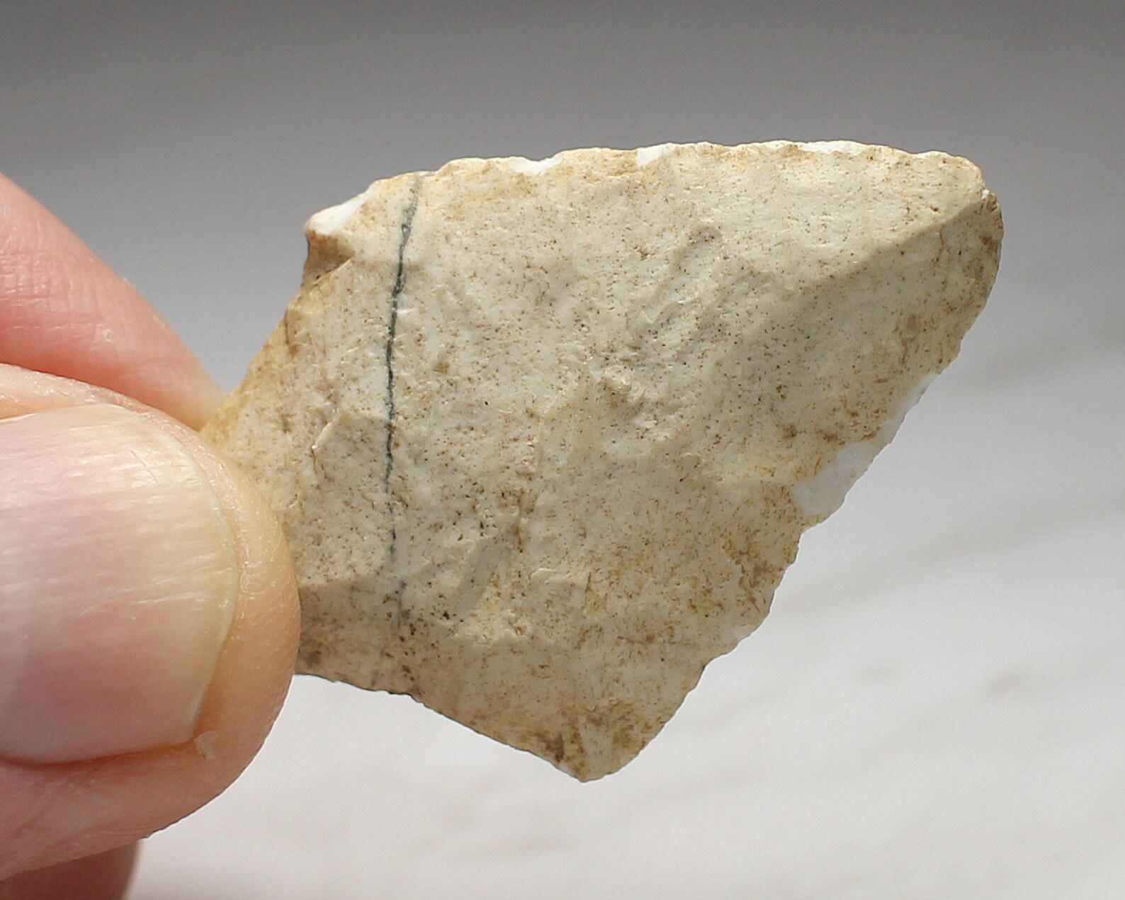 Prehistoric and Authentic Archaic Native American Knapped GARY - Etsy