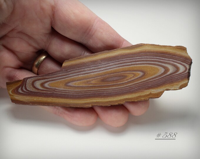 HICKORYITE - Rhyolite 'wonder-stone' Agate Slice - Unpolished on Two ...