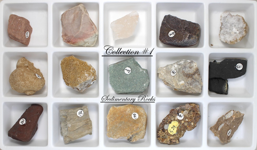 15 Pc. Handmade Rock Collection, Labeled, Numbered, With Display Box ...