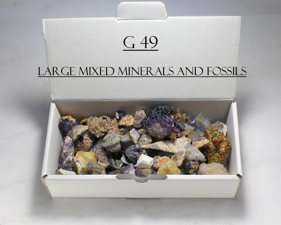 Crystal and Fossil Assortment Large Colorful Rock and - Etsy