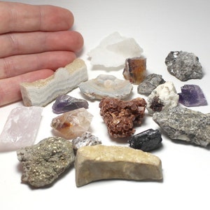 Educational Mineral and Fossil Collection Gift - Colorful Rock and ...