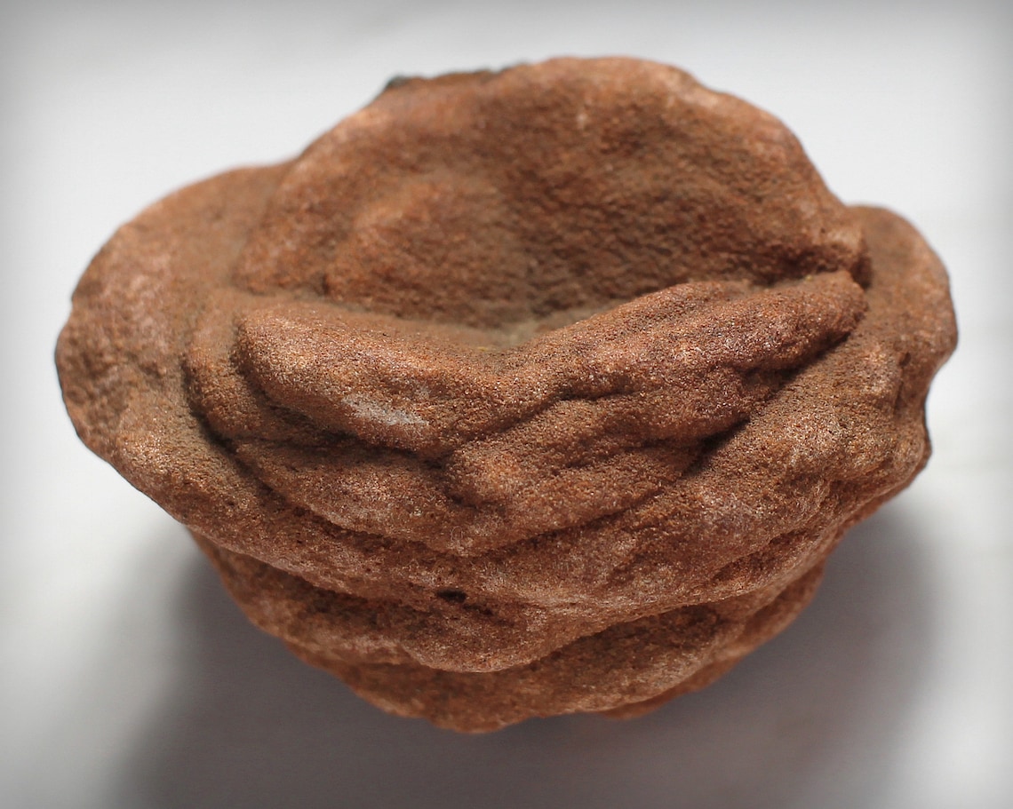 Large Barite Rose Crystal Desert Rose Mineral Crystal | Etsy