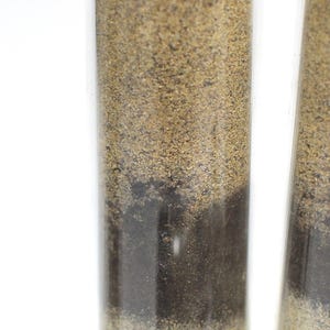 Dinosaur Extinction Sediment – Authentic K-pg Boundary Specimen - Etsy