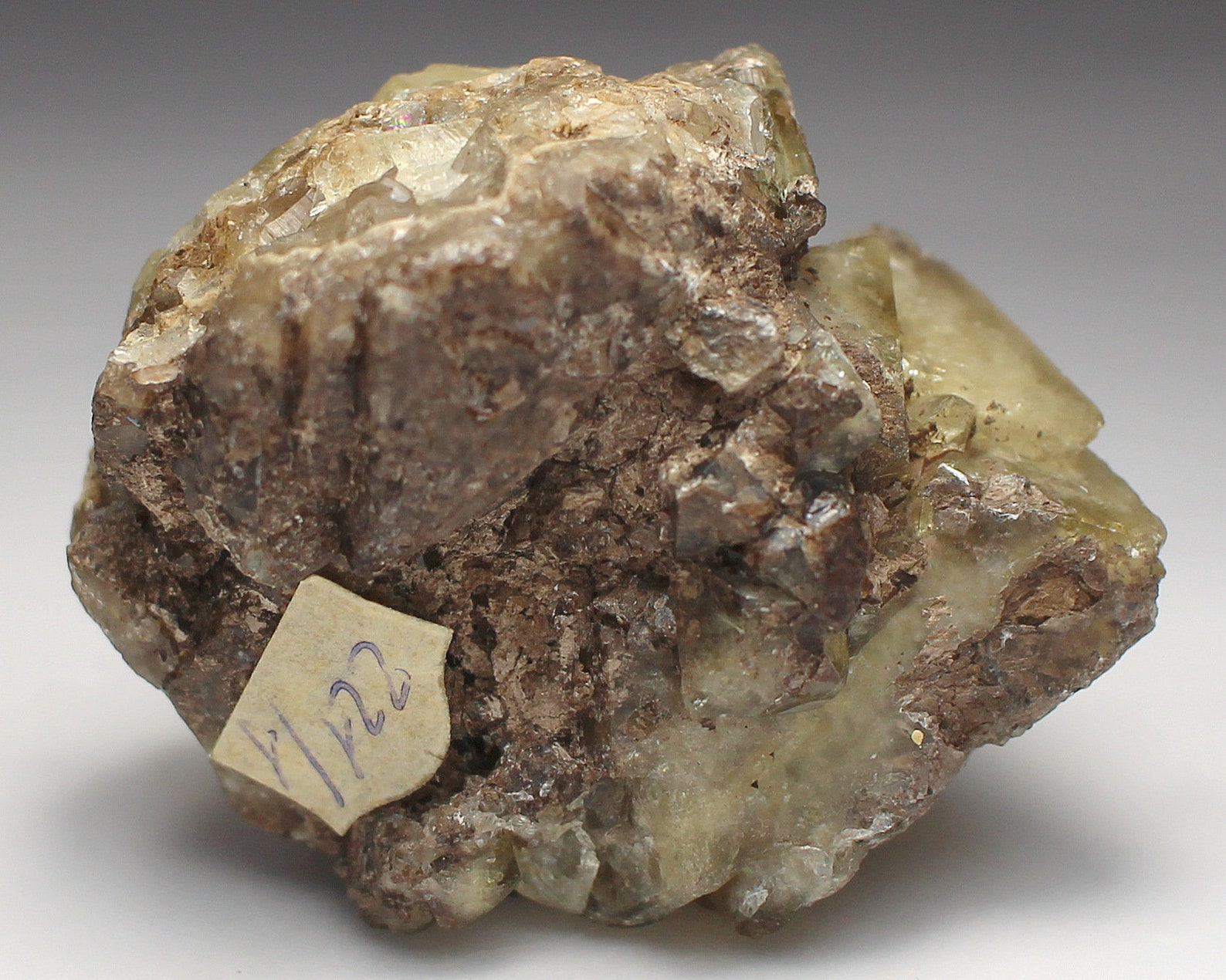 Unusual and Rare Organic Mellite Crystal Cluster From the - Etsy