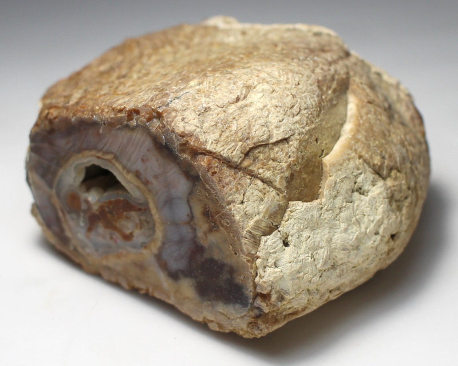 Chapenite Brecciated Jasper Geode/nodule, With One Partially Polished ...