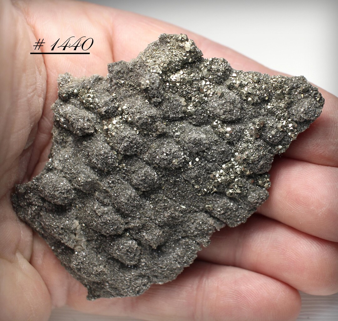 Large Fascinating Pyritized Colonial Coral Specimen, With Pyrite ...