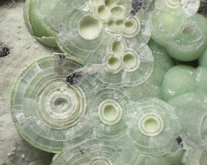Wavellite - Superb Green Wavellite Radiating Crystals on Matrix ...