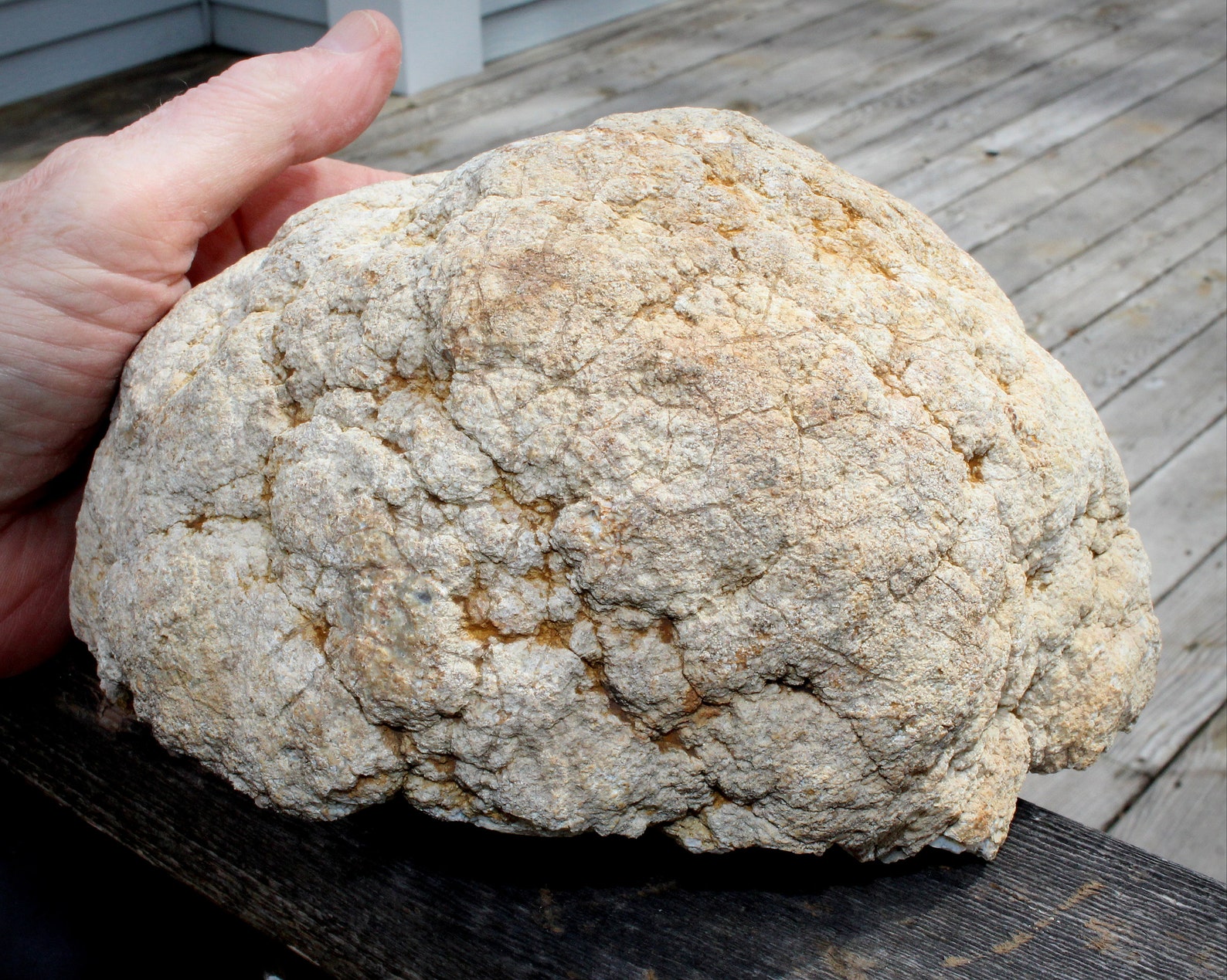 VERY Large Cauliflower Geode Half With Spiky Quartz Crystal - Etsy