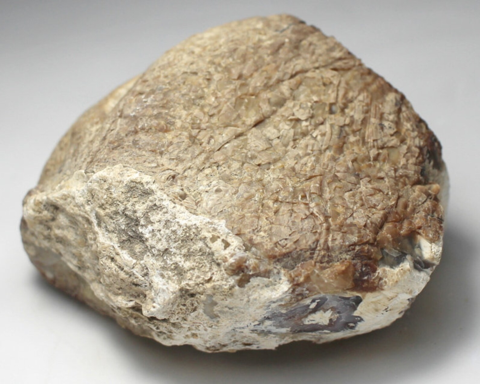 Chapenite Brecciated Jasper Geode/nodule, With One Partially Polished ...