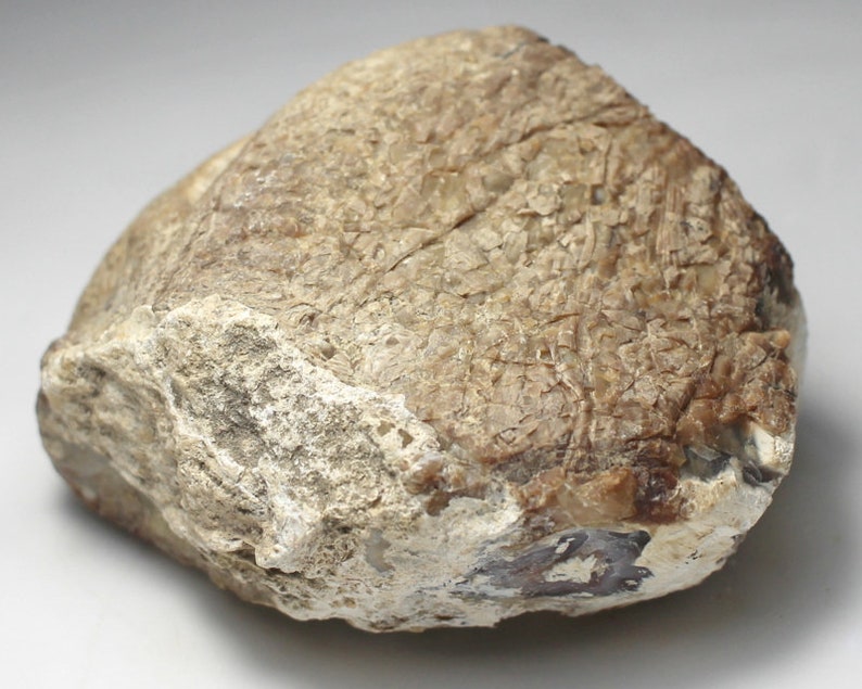 Chapenite Brecciated Jasper Geode/nodule With One Partially - Etsy