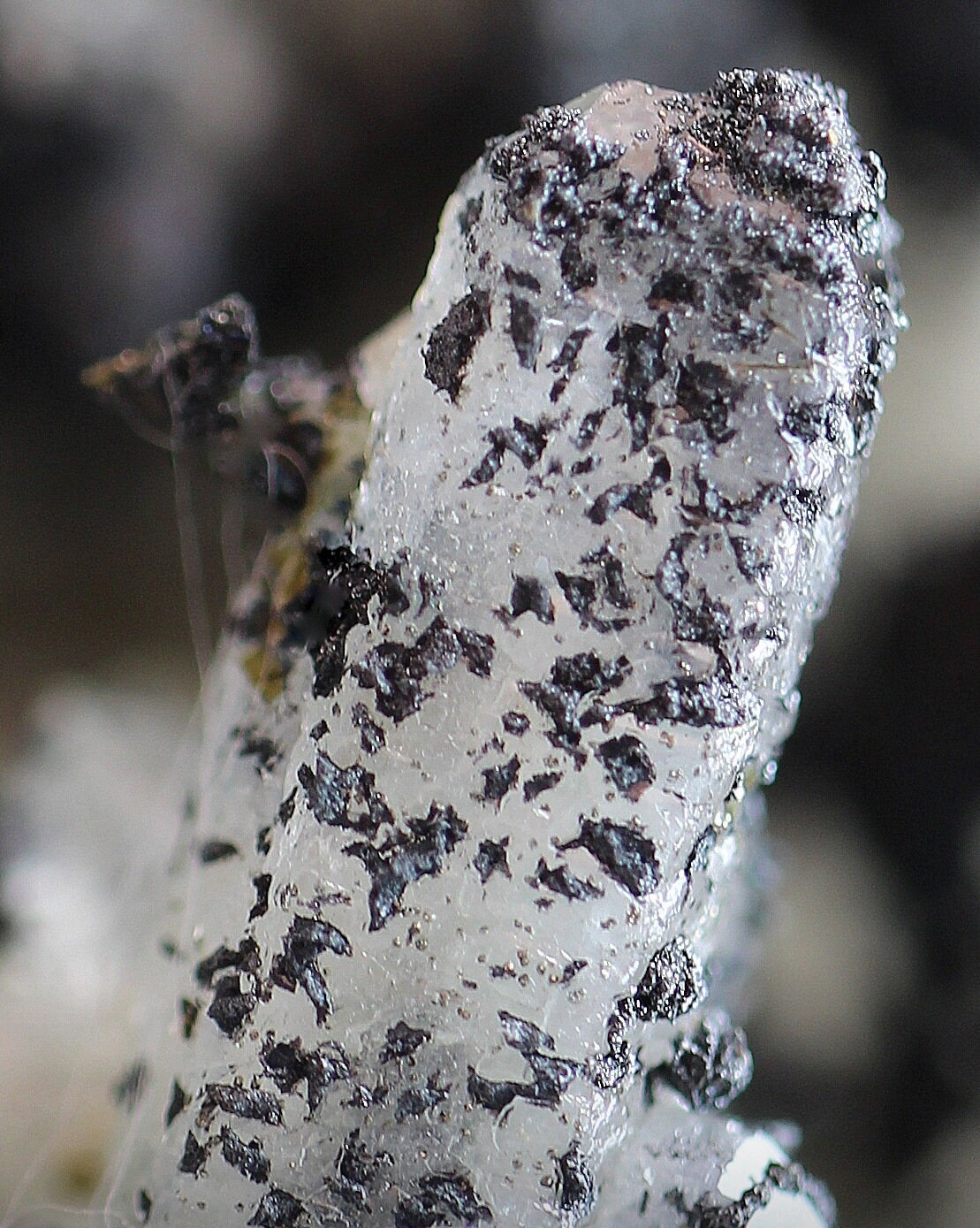 Quartz Crystal Cluster With Specularite Calcite and Pyrite | Etsy