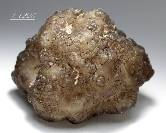 Large Chalcedony Nodule Very Pretty Dark Brown and Tan - Etsy