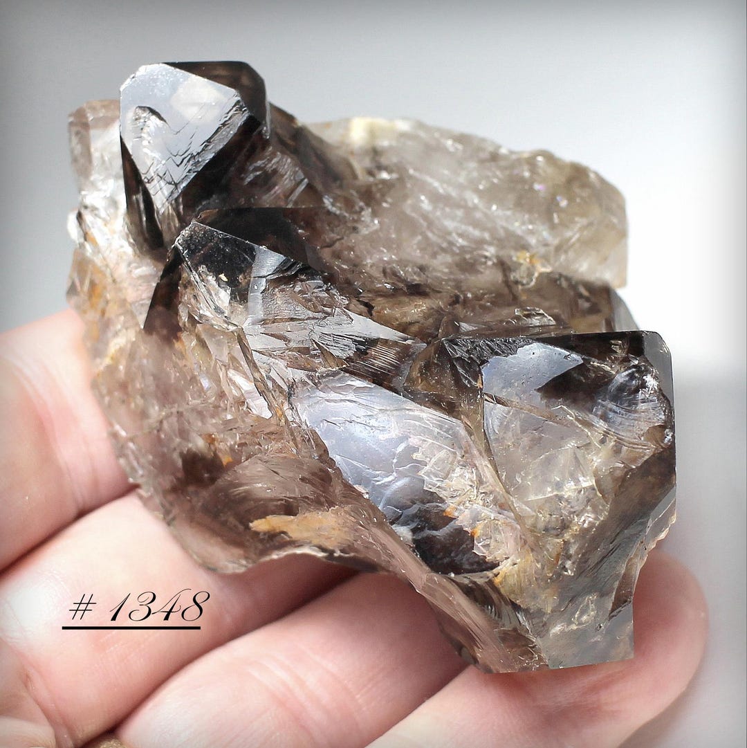 Smoky Elestial Jacaré Alligator Quartz Crystal, From Minas Gerais ...