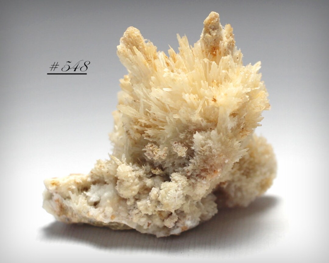 Awesome Branching Aragonite Crystal Cluster, Organ Mining District ...