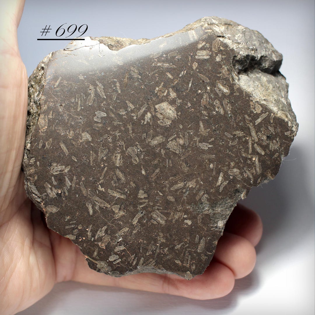 Face-polished Andesite Porphyry From the Tucson Mountains, Arizona, USA ...