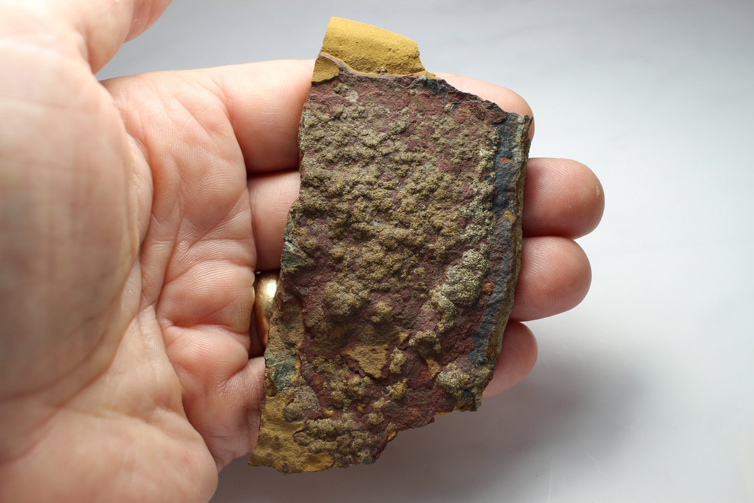 Limonite Concretion, With Hematite and Pyrite Interior, From Pekin ...