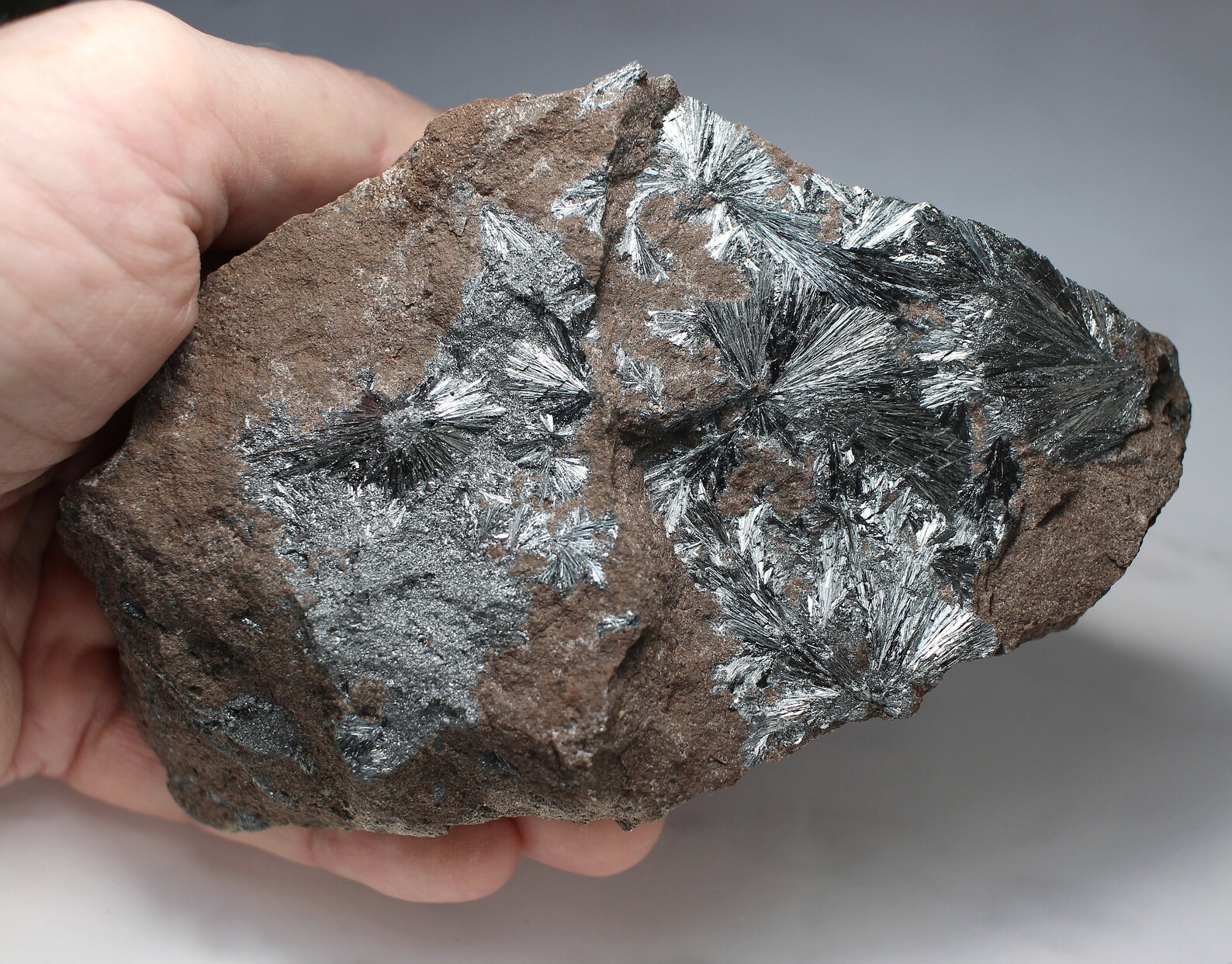 Pyrolusite Large and Aesthetic Metallic Acicular | Etsy