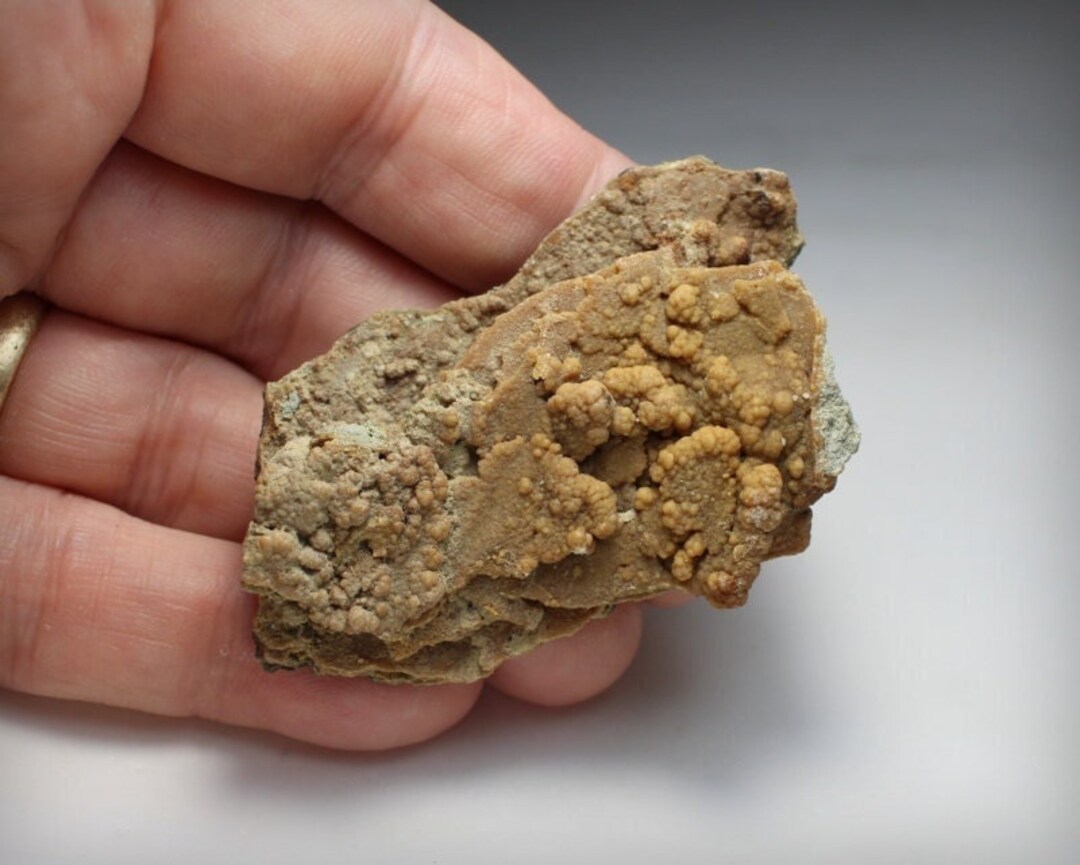 Globular Butterscotch-colored Layered Calcite With Hematite, From ...