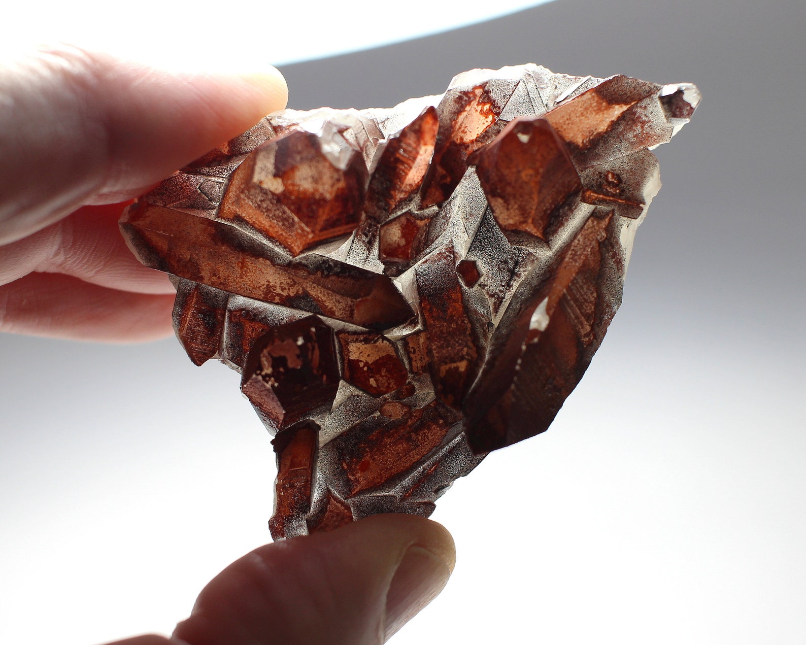 Red Quartz Cluster of Dark-red Translucent Smoky Quartz | Etsy