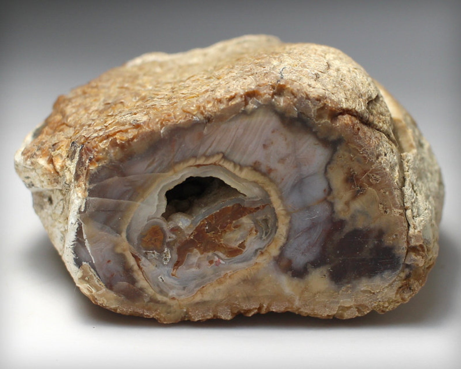 Chapenite Brecciated Jasper Geode/nodule, With One Partially Polished ...