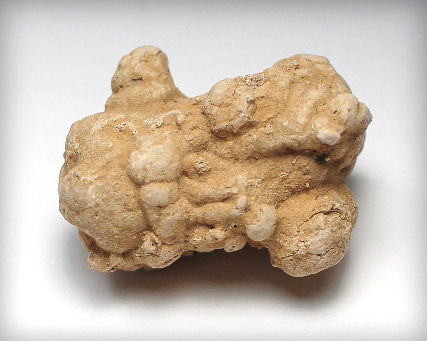 Loess Kindchen Loess Baby Concretion From Tamms Illinois - Etsy UK