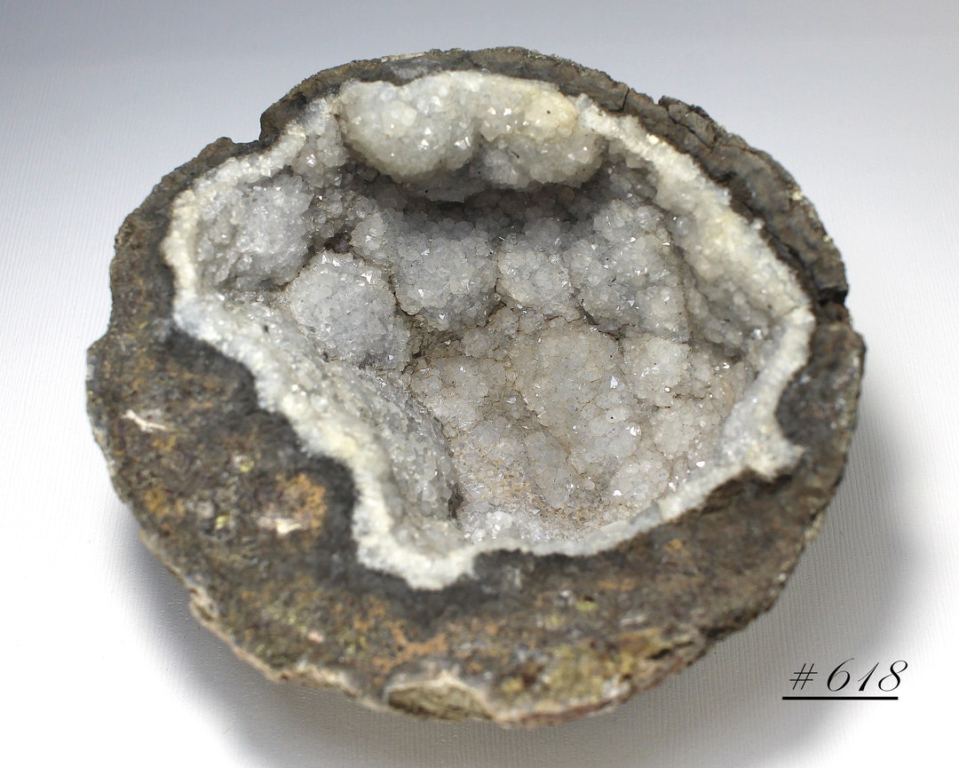 Large Opened Coconut Geode Half With Sparkling Quartz Crystal Interior ...