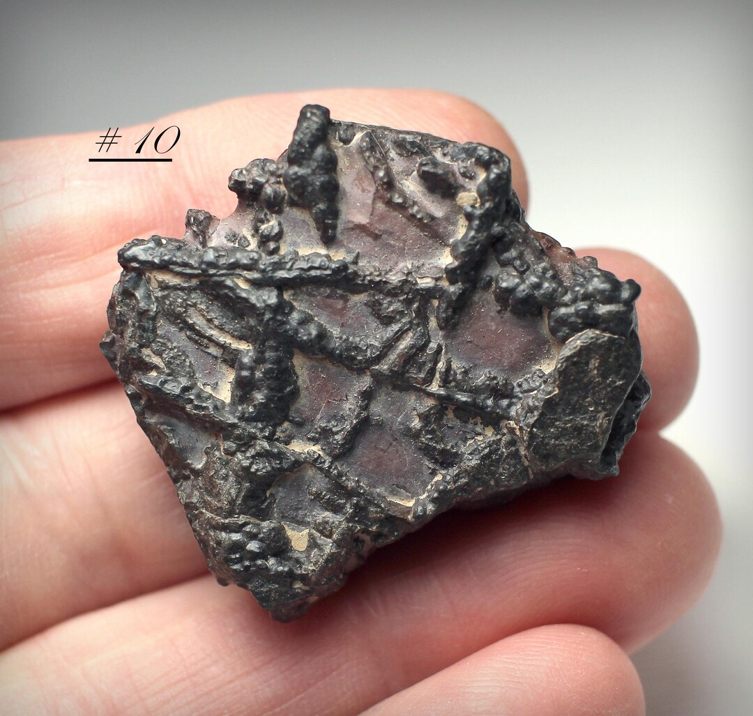 Tsesite Stone - Geologically Cemented and Lithified Mud Crack With ...