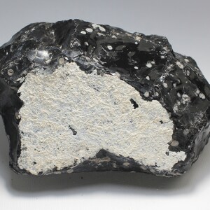 Large Snowflake Obsidian Raw Glassy Cobble of Aphanitic Lava Flow With ...