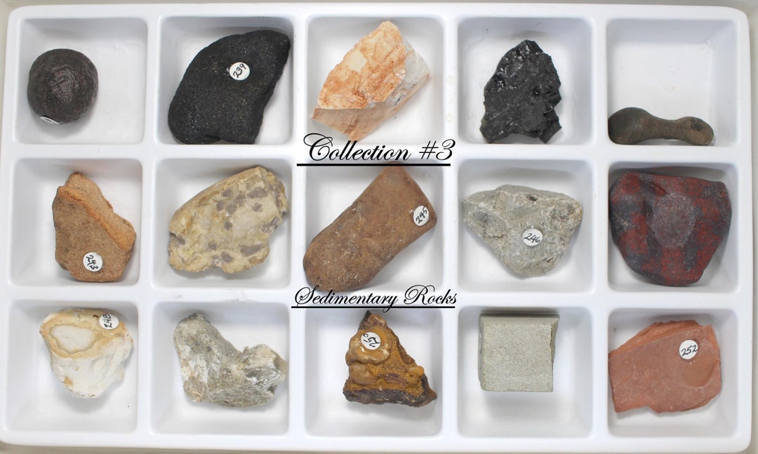 15 Pc. Handmade Rock Collection, Labeled, Numbered, With Display Box - Examples of Sedimentary ...