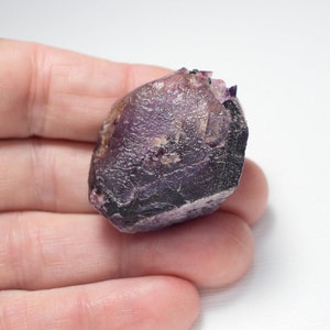 Rare Dark Purple Octahedral Fluorite Crystal From the Santa Teresa ...