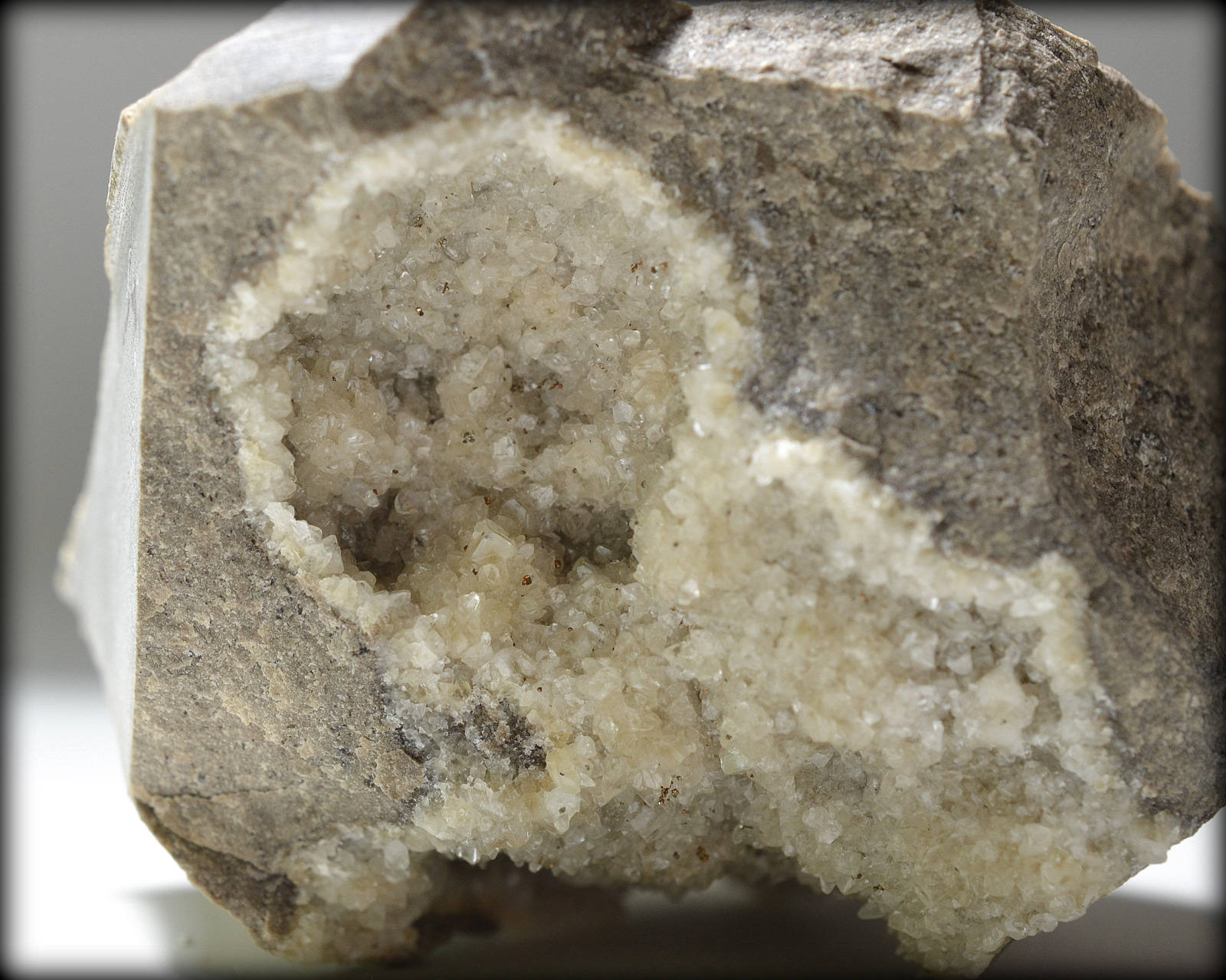 Large Calcite Lined Crystalline Pockets in Gray-Tan Limestone | Etsy
