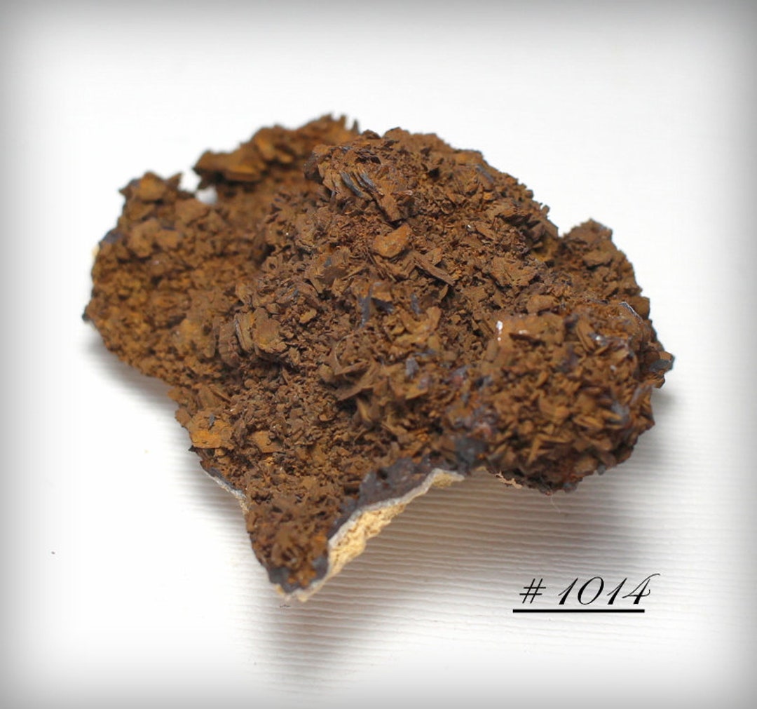 Rare Limonite Pseudomorph After Marcasite: Mineral Specimen, Wisconsin ...