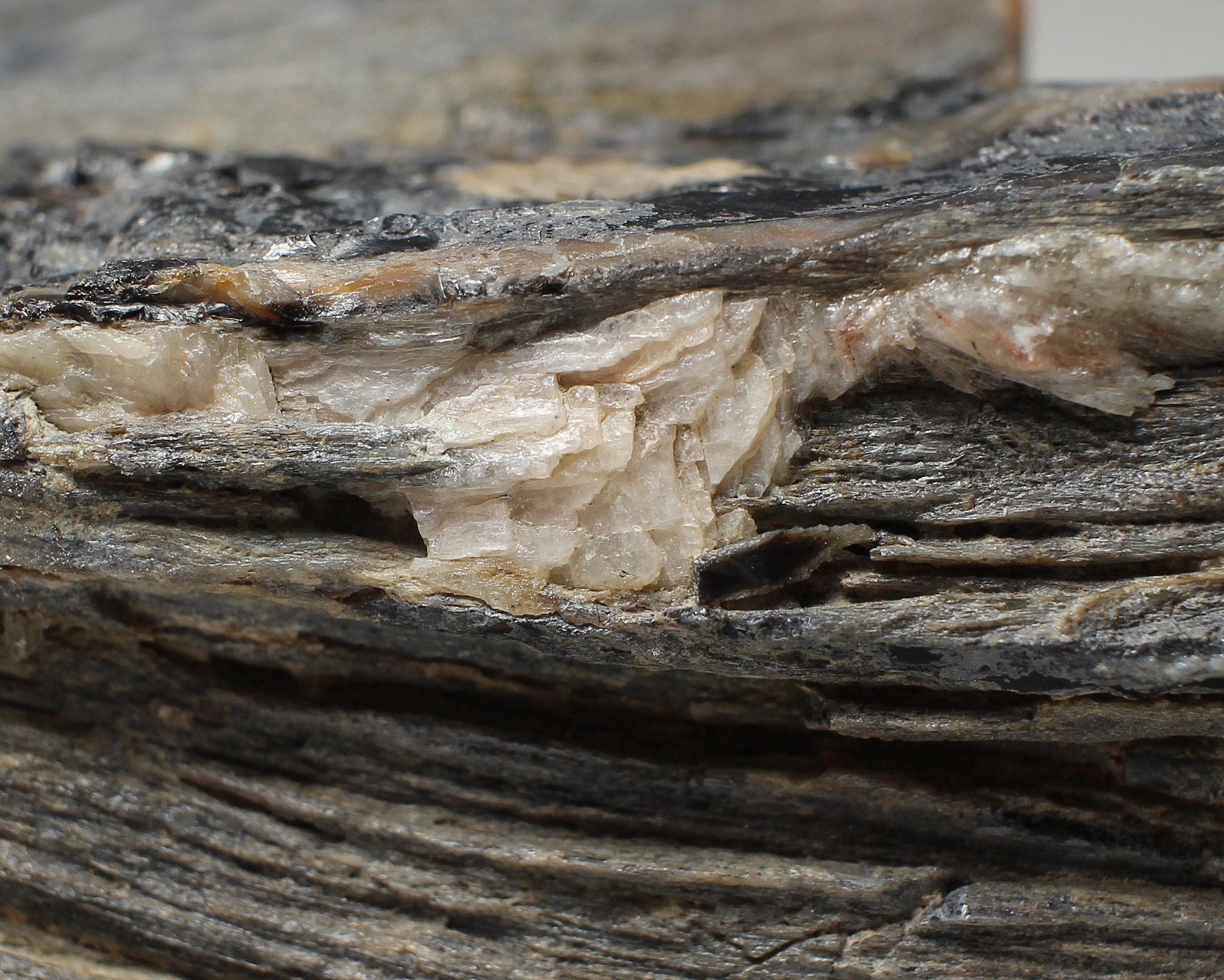 Sillimanite Hand Sample