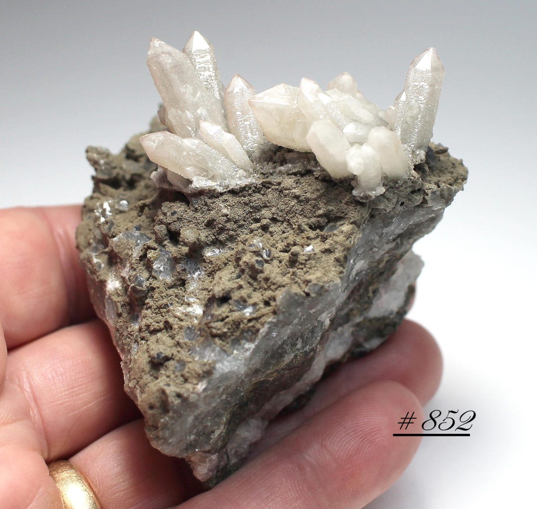 Skeletal Quartz With Disk Calcite Crystals and Andradite Garnet ...