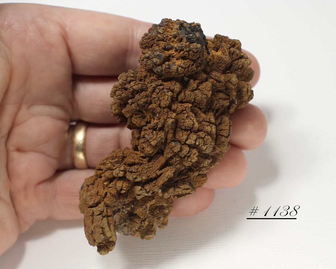 Terrific Large Coprolite (fossilized Poop) or an Amazing Ferruginous ...