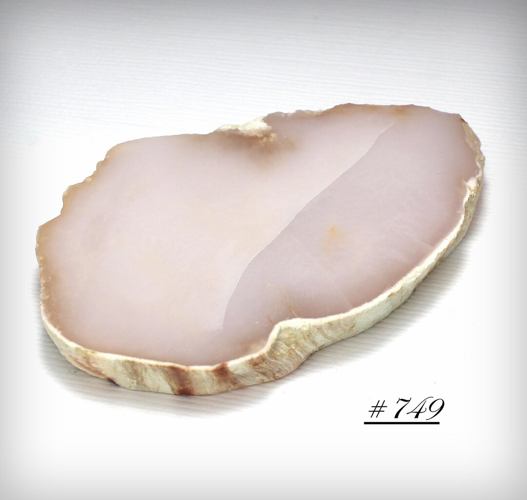 Pink Chalcedony Petrified Limb Cast Slice, From Texas Springs, Nevada ...