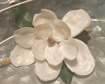 Oyster Shell Magnolia - Etsy