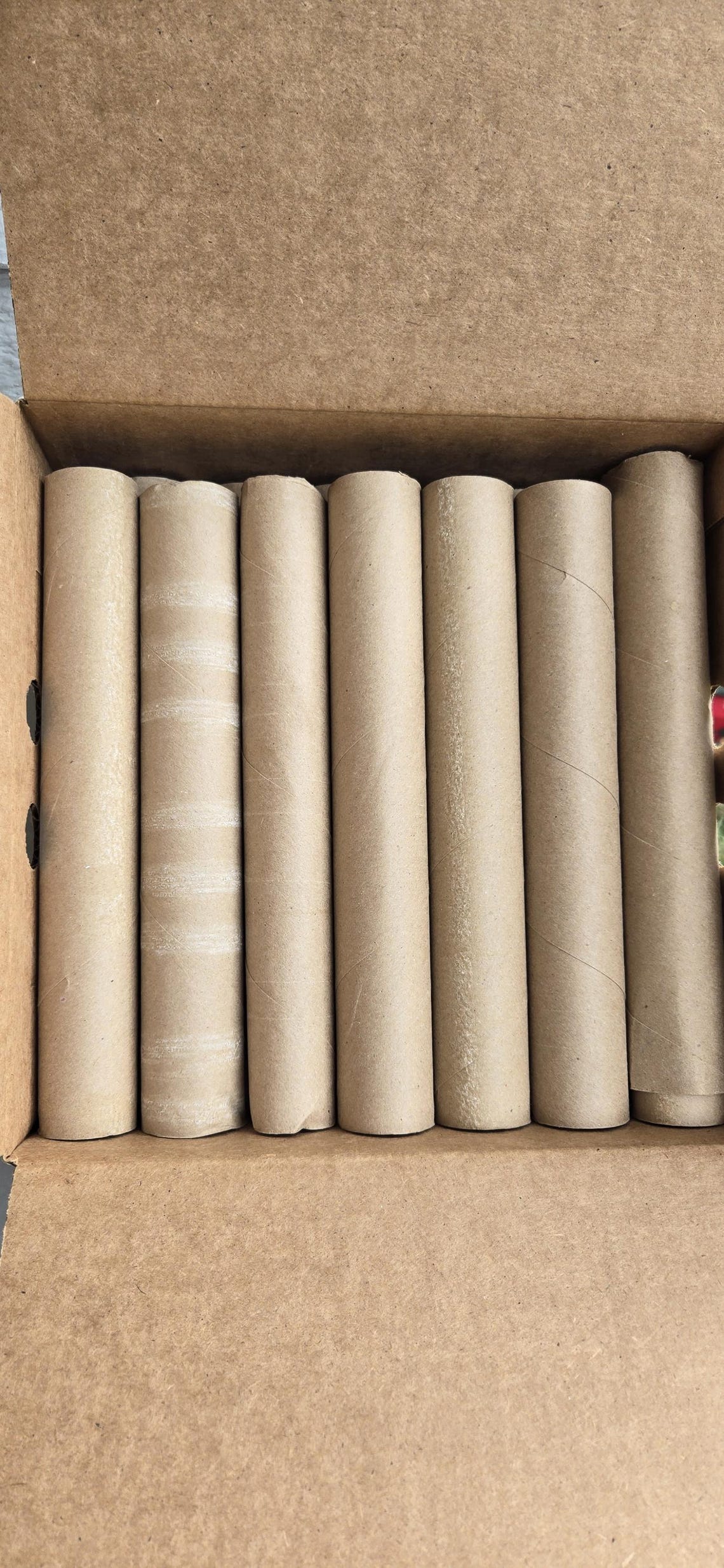 Recycled Cardboard Tubes: Previously Used Empty Paper Towel Rolls ...