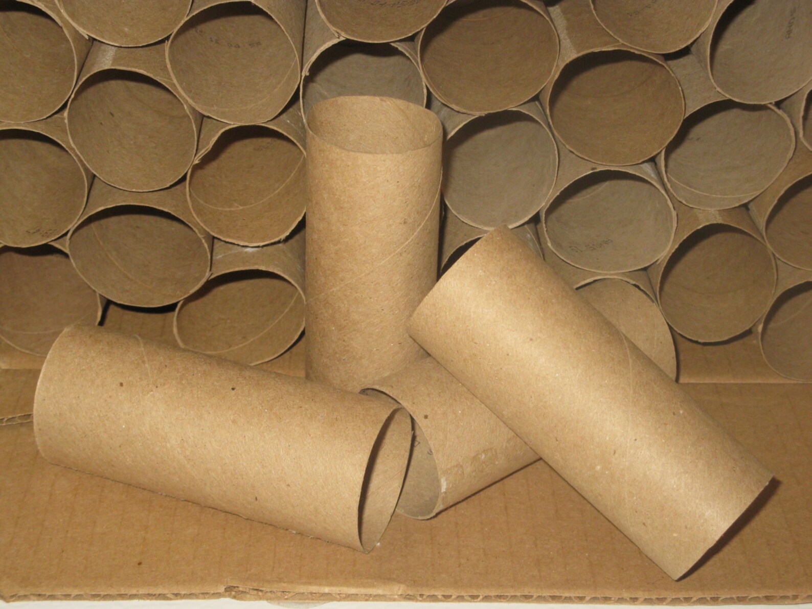 Cardboard Tubes-Toilet Tissue Rolls-Empty Cardboard | Etsy