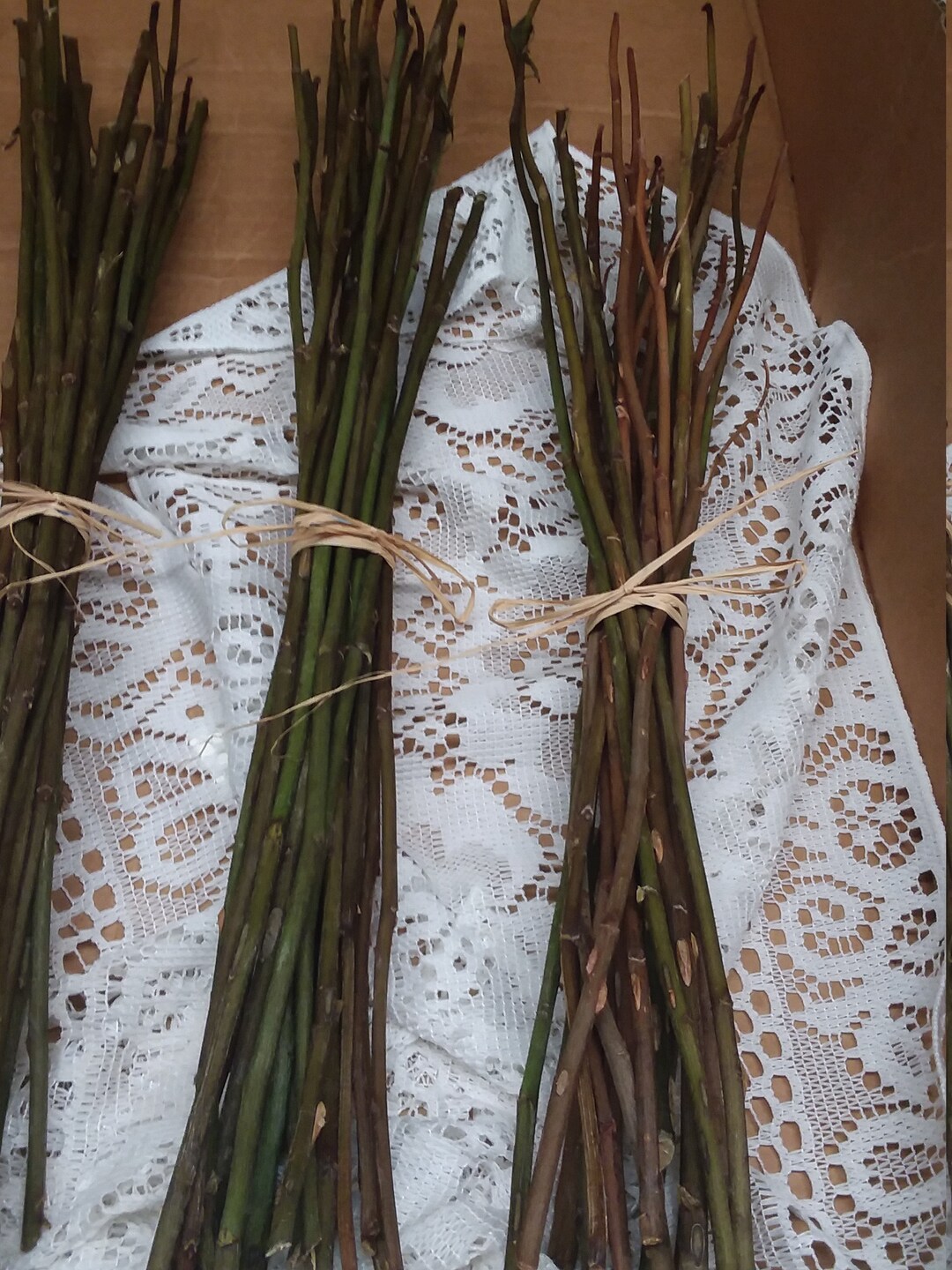 Dried Rose Stems-natural Stem Bundles-rustic Home Decor-diy Craft ...