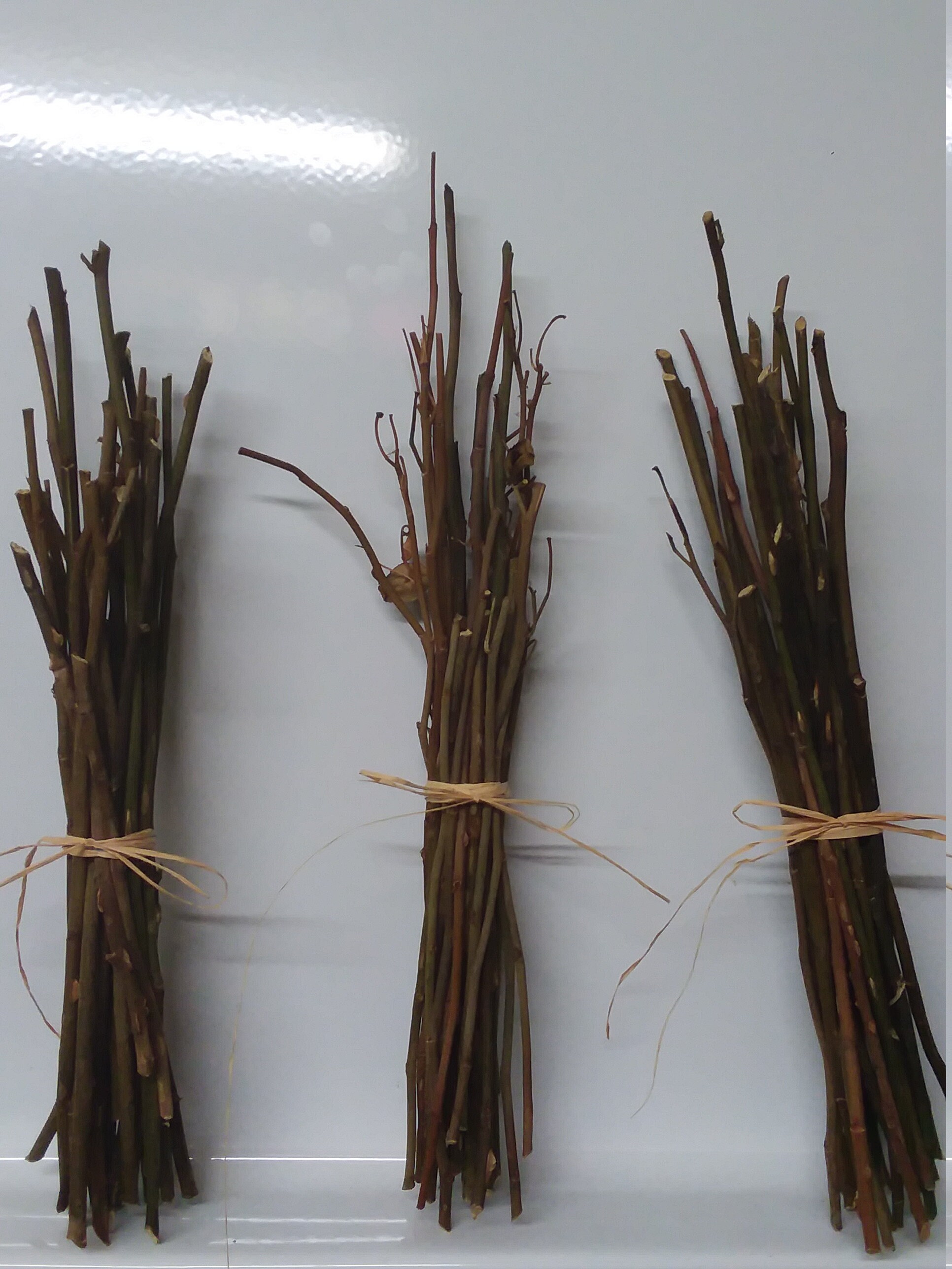 Dried Rose Stems-natural Stem Bundles-rustic Home Decor-diy - Etsy