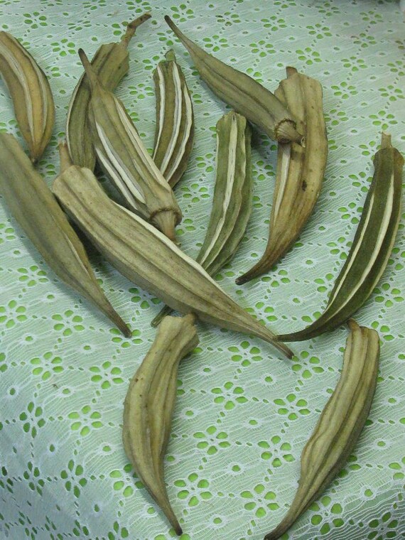 Dried Okra Crafts